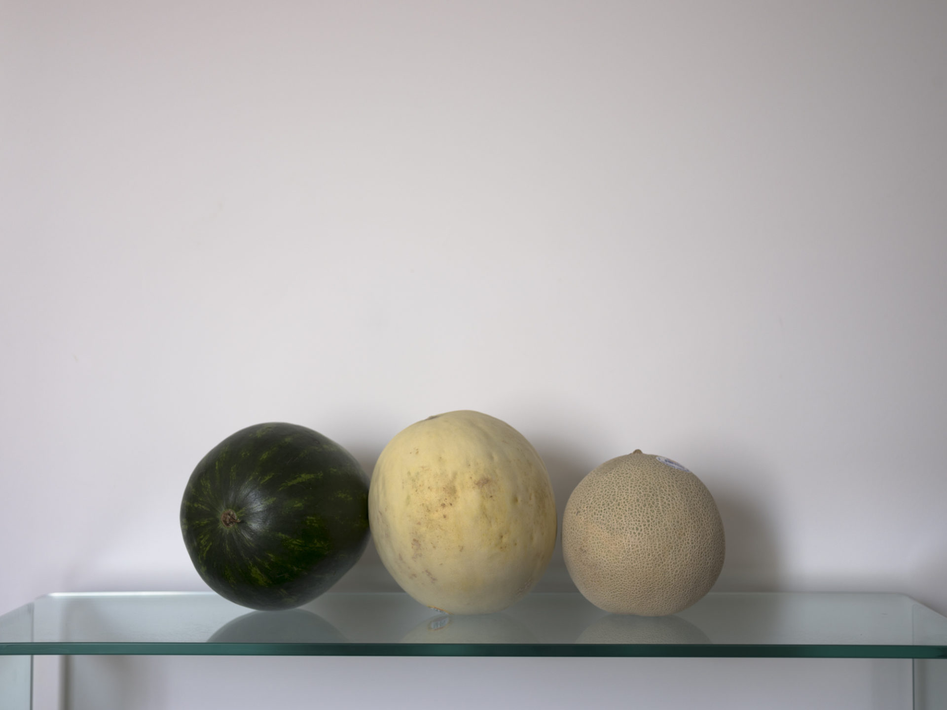 Melon Carrier – Esmond Lee