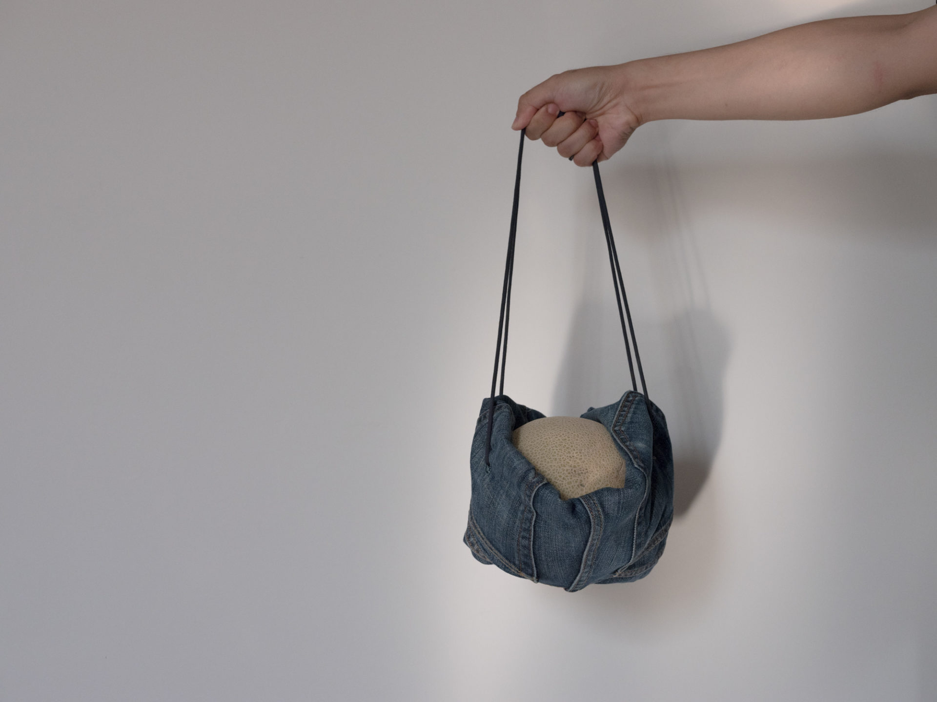 Melon Carrier – Esmond Lee